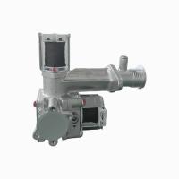 China Wall Mounted Boiler Gas Water Heater Integrated Gas Valve 24V DC LNG LPG for sale