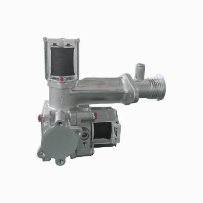 China Wall Mounted Boiler Gas Water Heater Integrated Gas Valve 24V DC LNG LPG for sale