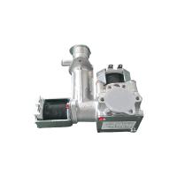 China Wall Mounted Boiler Gas Water Heater Integrated Gas Valve 24V DC LNG LPG for sale