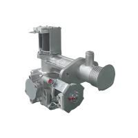 China Wall Mounted Boiler Gas Water Heater Integrated Gas Valve 24V DC LNG LPG for sale