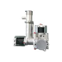 China Wall Mounted Boiler Gas Water Heater Integrated Gas Valve 24V DC LNG LPG for sale
