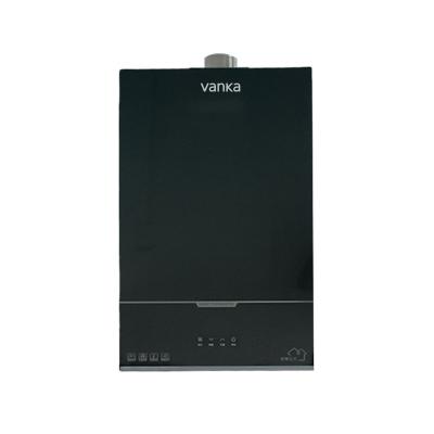 China Fuel Natural Gas Water Heater  With Remote Control for sale