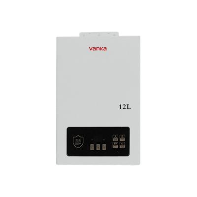 China 220V Wall Mounted Gas Instant Water Heater 16L Tankless 85% Efficiency for sale