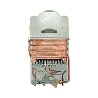 China 10L Fast Heating Gas Water Heater With Balanced Flue System for sale