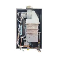 China 12L Energy Efficient Gas Water Heater Smart Inverter Multi Point Use for sale