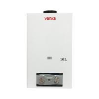 China 10L Flue-Type Instant Gas Water Heater System for sale