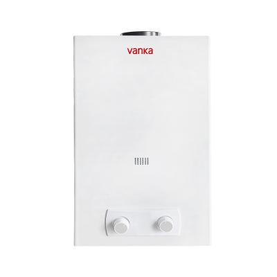 China 10L Flue Type Instant Gas Water Heater NG LPG Wall Mounted 0.02 MPa for sale