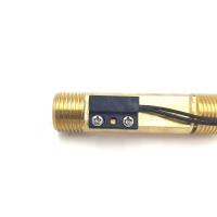 China Copper Magnetic Water Flow Switch 220V 110V for Gas Water Heater Spare Part for sale