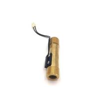 China Copper Magnetic Water Flow Switch 220V 110V for Gas Water Heater Spare Part for sale