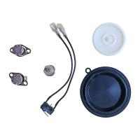 China Flue Type Gas Water Heater Parts Kit 220V-240V 50Hz Complete Set with Thermostat Sensor Valve for sale