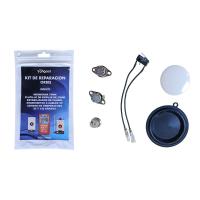 China Flue Type Gas Water Heater Parts Kit 220V-240V 50Hz Complete Set with Thermostat Sensor Valve for sale