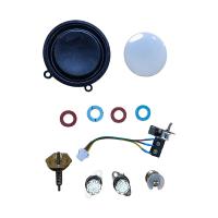 China Flue Type Gas Water Heater Parts Kit 220V-240V Thermostat Microswitch Sensor Valve for sale