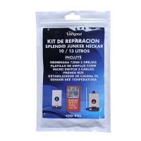 China Flue Type Gas Water Heater Parts Kit 220V-240V Thermostat Microswitch Sensor Valve for sale