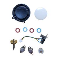 China Flue Type Gas Water Heater Parts Kit 220V-240V Thermostat Microswitch Sensor Valve for sale