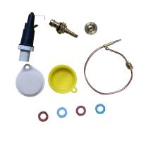 China Flue Type Gas Water Heater Accessories Set Diaphragm Thermostat Microswitch Sensor Valve for sale