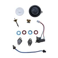 China Flue Gas Water Heater Repair Kit 220V-240V Thermostat Diaphragm Sensor Valve Microswitch for sale