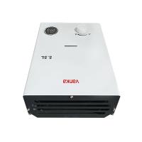China Single Knob Flue Gas Water Heater 6L 8L 10L Instant Heating LPG NG Home Use for sale