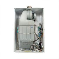 China 12L Tankless Thermostatic Water Heater Single Flue Pipe 60mm 80mm for sale