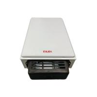 China 12V DC Gas Dual Power Portable Tankless Water Heater 2.5LPM Instant Heating for Camping RV for sale