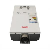 China Digital Forced Exhaust High Efficiency Gas Water Heater Electronic Ignition System for sale