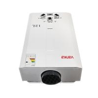 China 12L Wall Mounted Tankless Gas Water Heater 220V 45W Adjustable Temperature for Home Hotel Commercial Use for sale