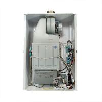 China 12L Tankless Thermostatic Water Heater Single Flue Pipe 60mm 80mm Customizable for sale