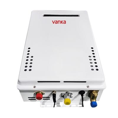 China Outdoor Propane Natural Gas Tankless Water Heater 6L 16L Wall Hung 220V for sale