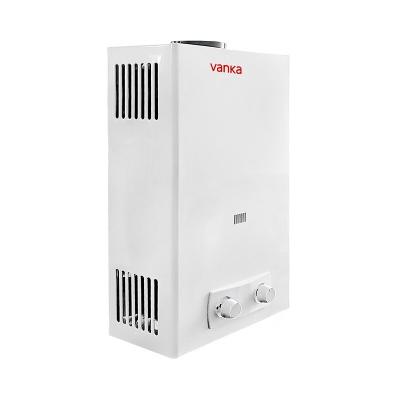 China 10L Flue Type Instant Gas Water Heater 0.02-0.6MPa Indoor Wall Mounted for sale
