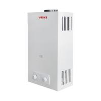 China 10L Flue Type Instant Gas Water Heater 0.02-0.6MPa Indoor Wall Mounted for sale