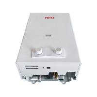 China 10L Flue Type Instant Gas Water Heater 0.02-0.6MPa Indoor Wall Mounted for sale