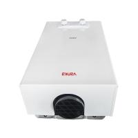 China 10L Flue Type Instant Gas Water Heater 0.02-0.6MPa Indoor Wall Mounted for sale