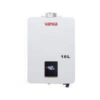 China Forced Exhaust Gas Water Heater 12L 18L Indoor Thermostat Control Digital for sale