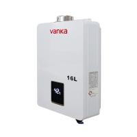China Forced Exhaust Gas Water Heater 12L 18L Indoor Thermostat Control Digital for sale