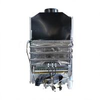 China 20L Tankless Thermostatic Gas Water Heater LPG 40kW Dual Flue Gray OEM ODM for sale