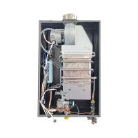 China 12L Smart Inverter Tankless Gas Water Heater Energy Efficient Constant Temperature Control for sale