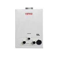 China 6L Flue Type Tankless Gas Water Heater 12kW LPG Instant Hot Water for sale