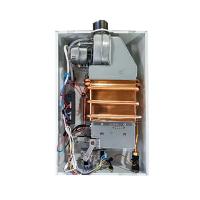 China 12L Wall Mounted LPG Gas Water Heater Constant Temperature Technology for sale