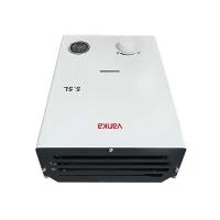 China Single Knob Control Instant Heating High Efficiency Flue Type Gas Water Heater for Home Bathroom Use for sale