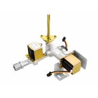 China Flue Type Single Gas Valve Water Heater Gas Valve Control Valve Gas Regulator for sale