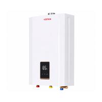 China Smart Low NOx Constant Temperature Balanced Flue Gas Water Heater Calefon De Agua a Gas for sale