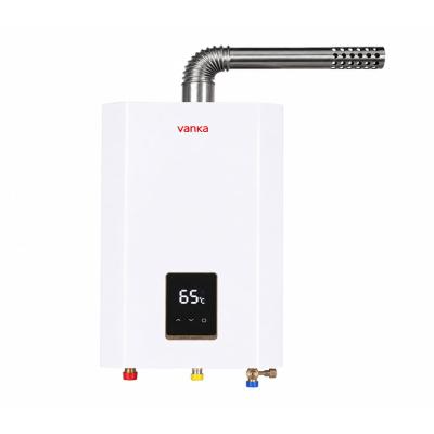 China Smart Low NOx Constant Temperature Balanced Flue Gas Water Heater Calefon De Agua a Gas for sale