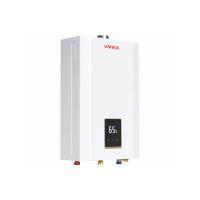 China Smart Low NOx Constant Temperature Balanced Flue Gas Water Heater Calefon De Agua a Gas for sale