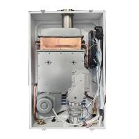 China Smart Low NOx Constant Temperature Balanced Flue Gas Water Heater Calefon De Agua a Gas for sale