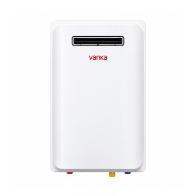 China LPG Household Forced Exhaust Outdoor Instant Gas Water Heater Tankless Hot Water Heater for sale