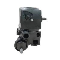 China 220V High Power Pulse Ignition Controller with Thermostat for Forced Exhaust Gas Water Heater Replacement Parts for sale