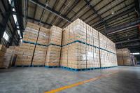 China China Factory Wholesale Customized High Quality Printed Toilet Tissue Paper for sale