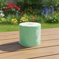 China Direct Factory Price Rolls Disposable 3 Ply Bamboo Hollow Core Toilet Paper Rolls Wholesale Bulk Supply Toilet Paper for sale