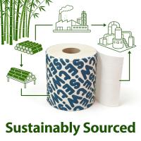 China Factory Directly High Quality Custom Soft Toilet Paper Rolls Bamboo Toilet Roll for sale