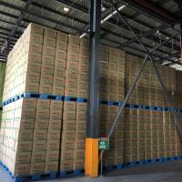 China Eco friendly dissolved bamboo pulp wholesale cheap papel higienico for sale