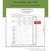 China Wholesale High Quality Panda Design 3ply Organic Bamboo Pulp Ultra Soft Eco-Friendly Toilet Tissue Standard Roll Toilet Paper for sale